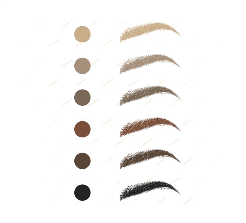 Eyebrow Color Chart Digital Art Print Natural Hair Color - Etsy Australia