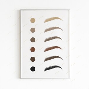 Eyebrow Color Chart Digital Art Print - Natural Hair Color Brow ...