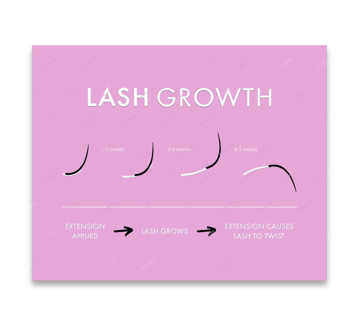 Lash Extension Growth Cycle Chart Multicolor Digital Art - Etsy