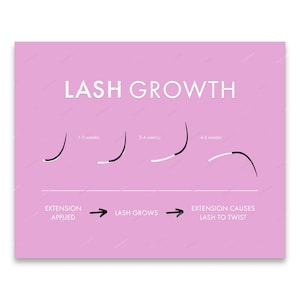 Lash Extension Growth Cycle Chart - Multicolor Digital Art Print ...