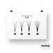 Volume Lash Fan Chart Digital Art Print - Volume Lash Fan Guide - Lash ...