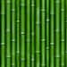 Seamless Bamboo Sticks Digital Paper Background - Tropical Plants ...