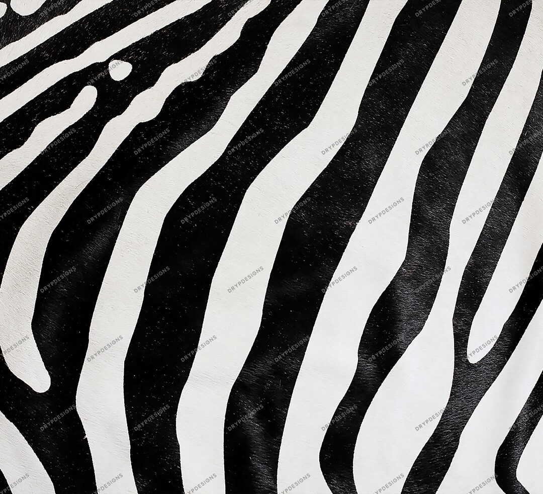 Zebra Print Digital Paper Background Texture - Exotic Animal Realistic ...