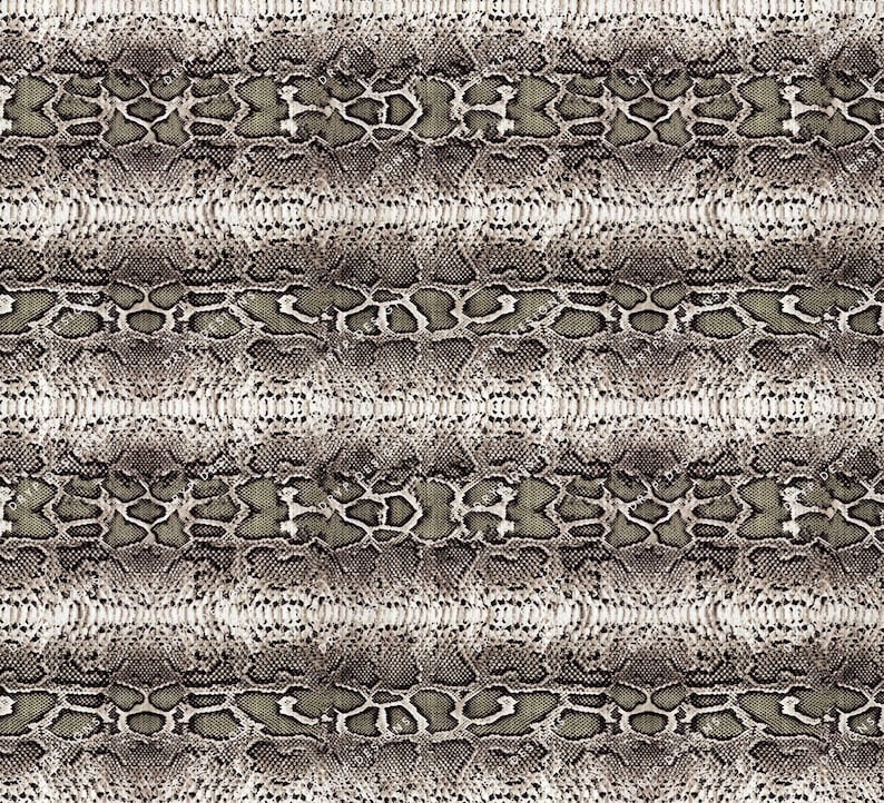 Python Snakeskin Seamless Background Texture PNG Digital - Etsy