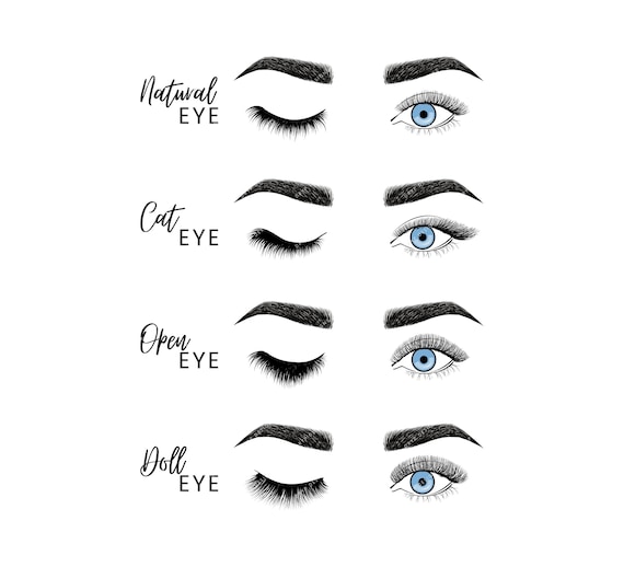 Lash Poster Lash Style Guide Lash Menu Lash Decor Lash Style