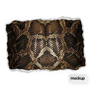 Brown Snakeskin Seamless Digital Paper Background Texture - Python ...