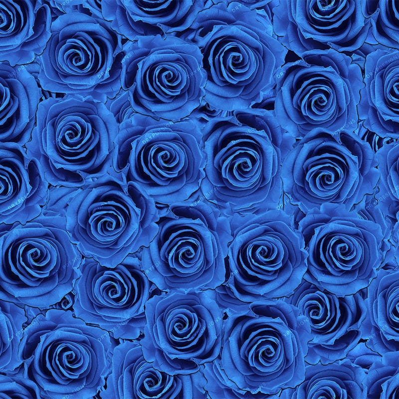 Blue Rose Svg - Etsy