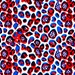 Red White Blue Leopard Print Seamless Background Pattern Patriotic ...