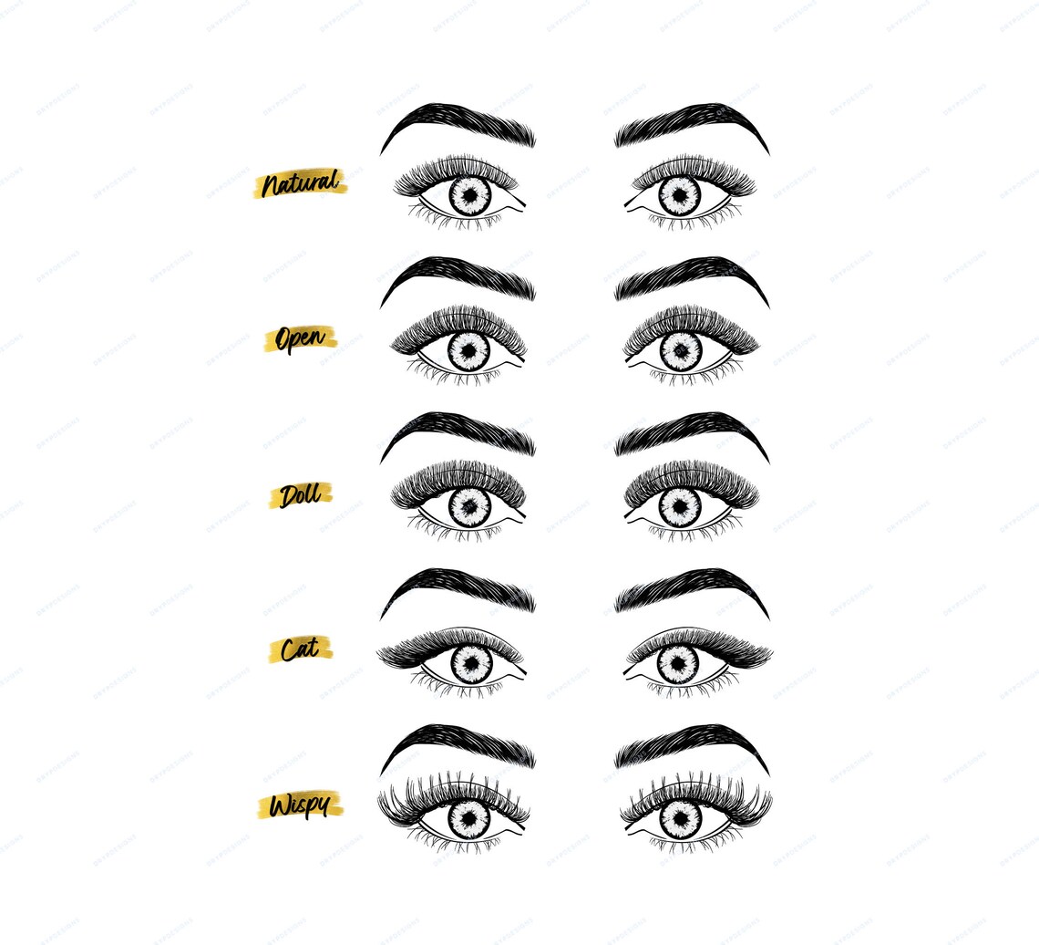 Full Eye Lash Style Chart Eyelash Extension Styles Digital - Etsy