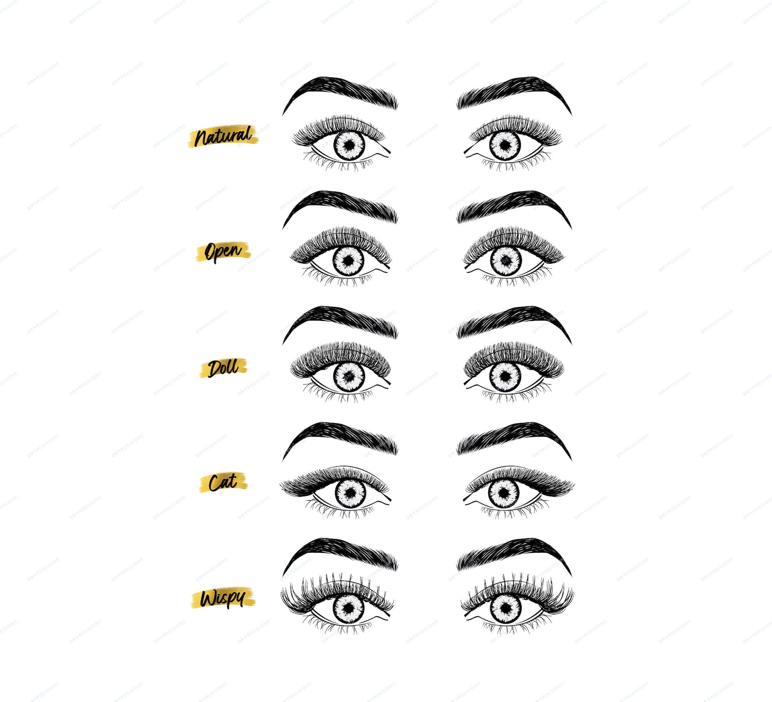 Full Eye Lash Style Chart Eyelash Extension Styles Digital - Etsy