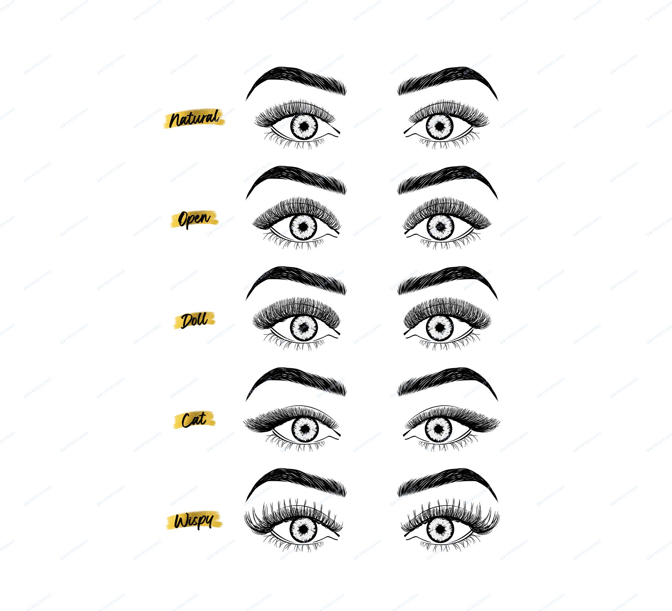 Full Eye Lash Style Chart Eyelash Extension Styles Digital - Etsy