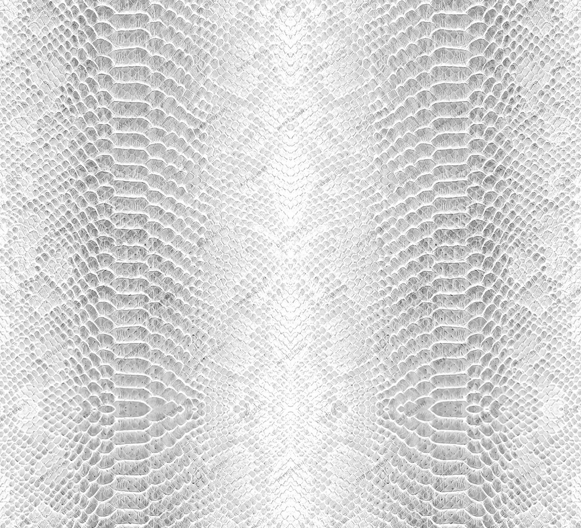 White Snakeskin Seamless Background Texture Snake Print - Etsy
