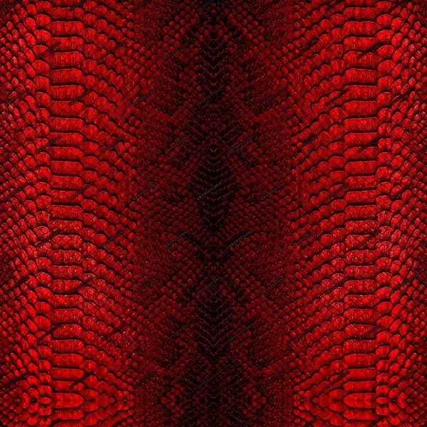 Snake Bold Python - Etsy