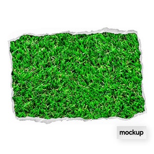 Seamless Green Grass Digital Paper Background Texture - Plants & Nature ...