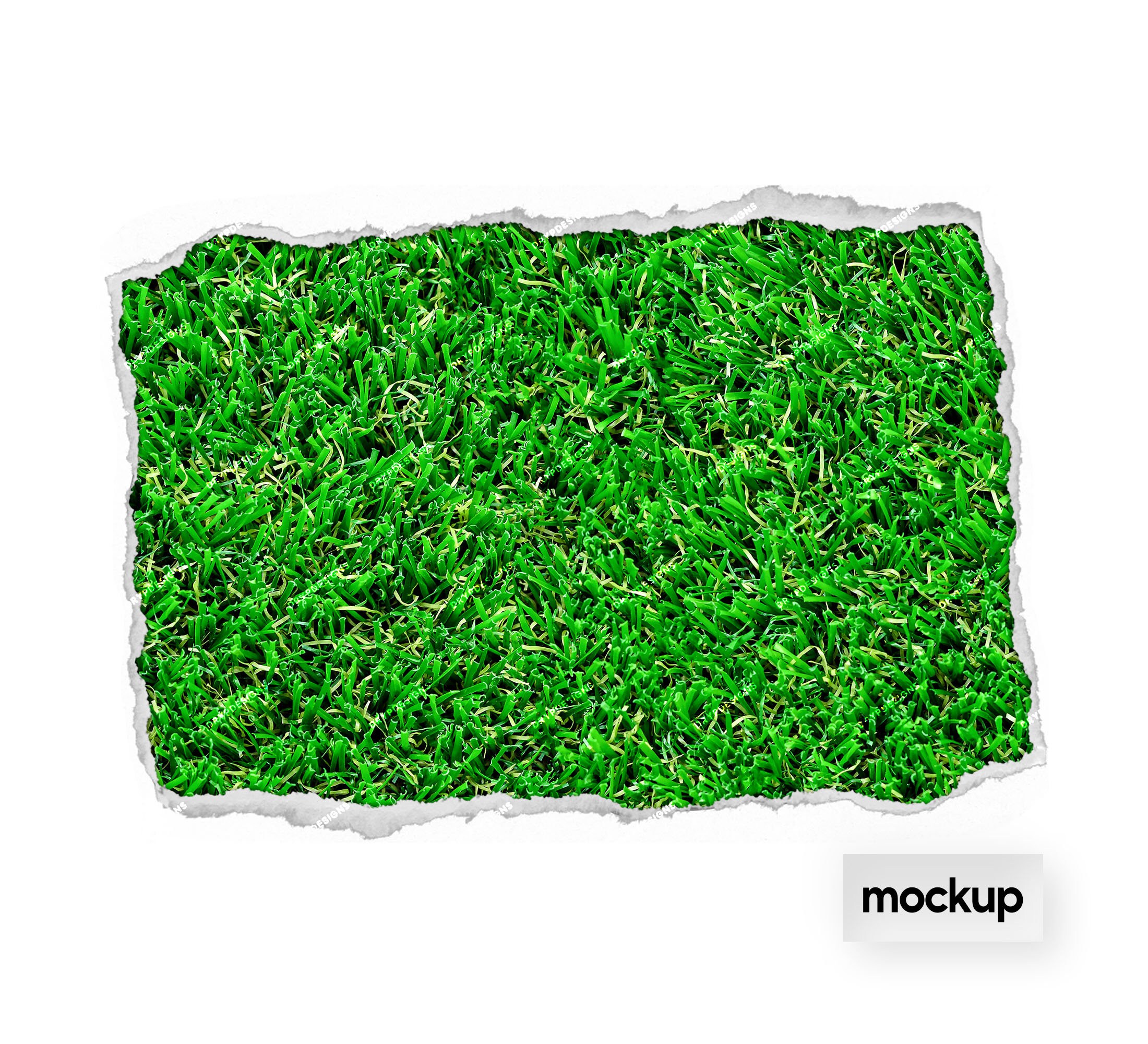 Seamless Green Grass Digital Paper Background Texture - Plants & Nature ...