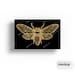 Gold Glitter Bee PNG - Transparent Gold Bee Outline Clipart Digital ...