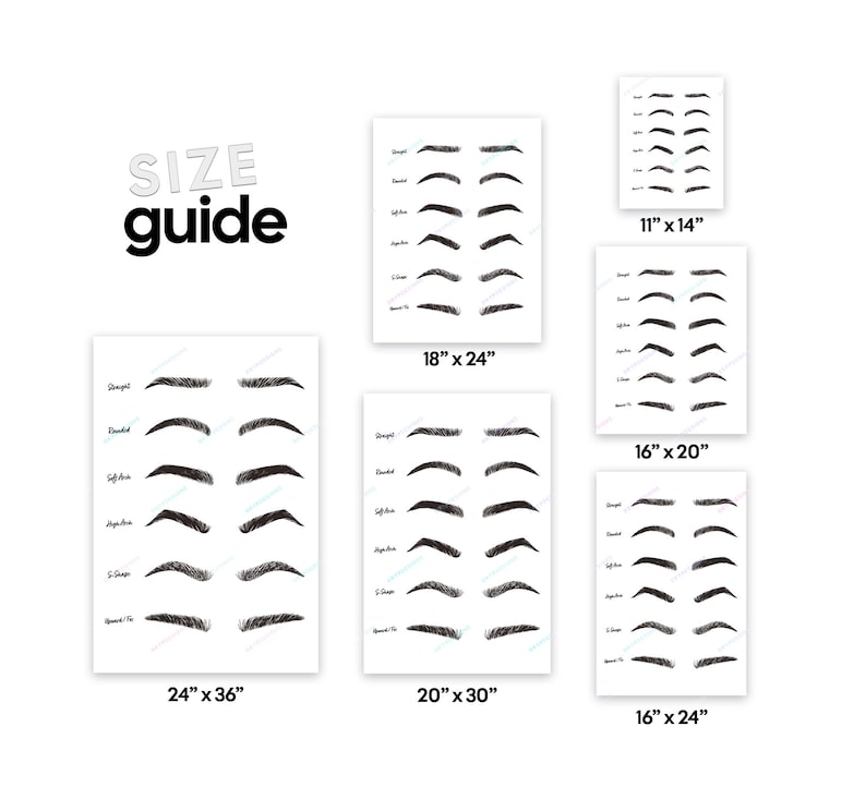 Eyebrow Shape Style Chart Brow Illustration Esthetician - Etsy