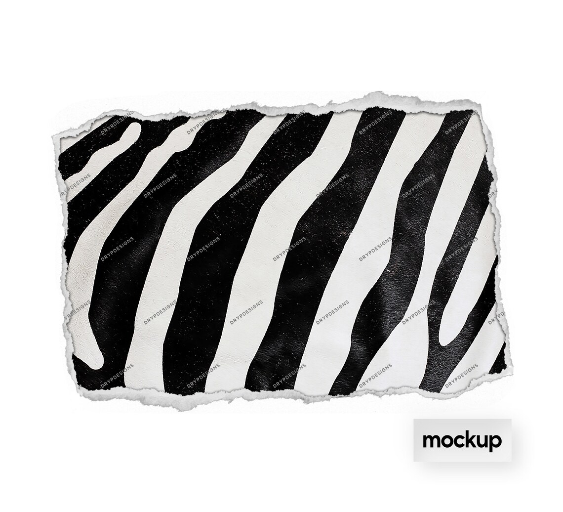 Zebra Print Digital Paper Background Texture Exotic Animal | Etsy