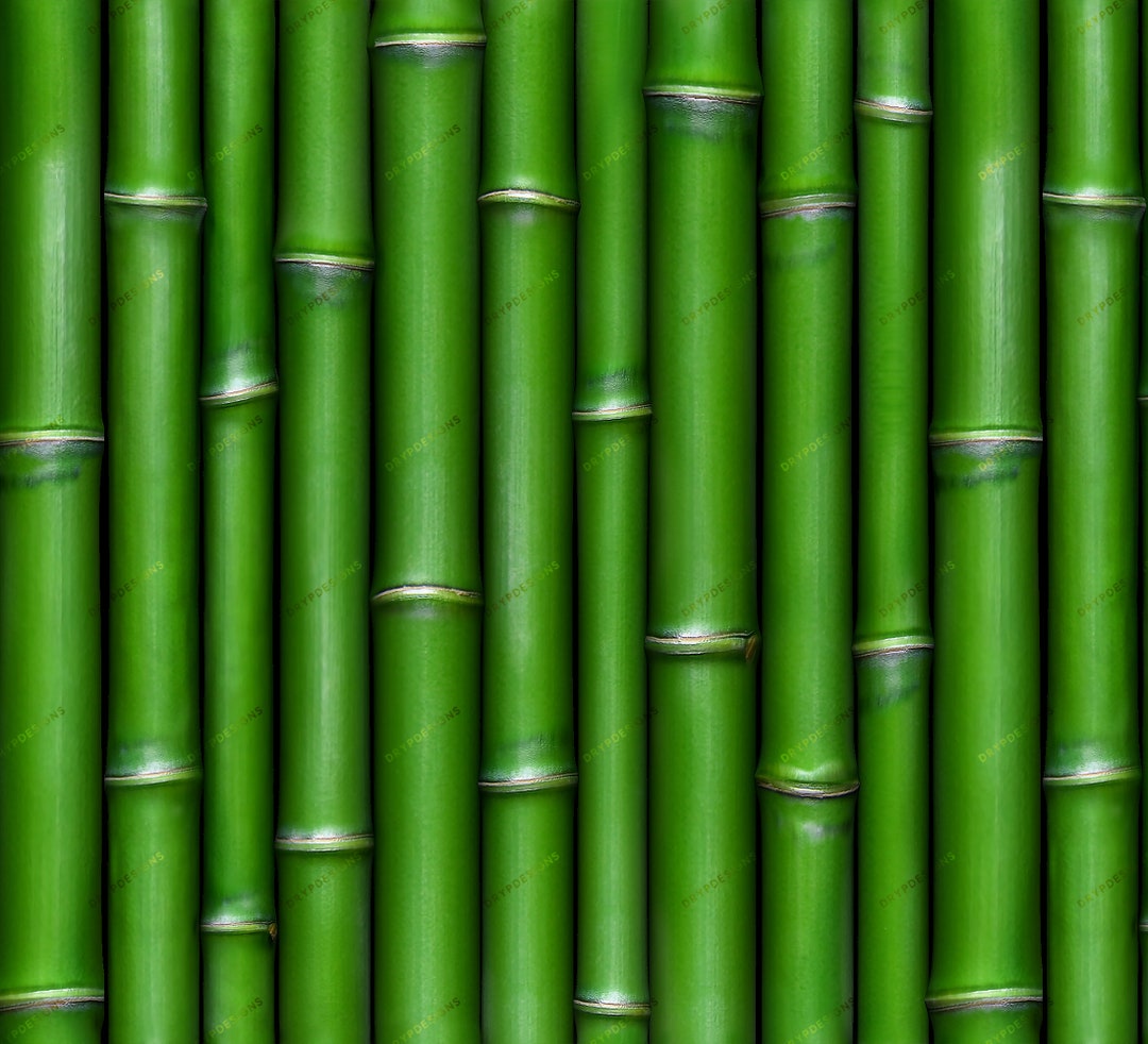 Seamless Bamboo Sticks Digital Paper Background - Tropical Plants ...