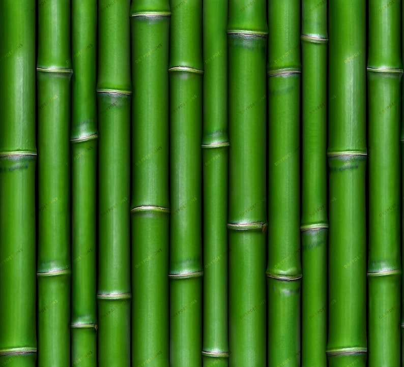 Seamless Bamboo Sticks Digital Paper Background Tropical - Etsy