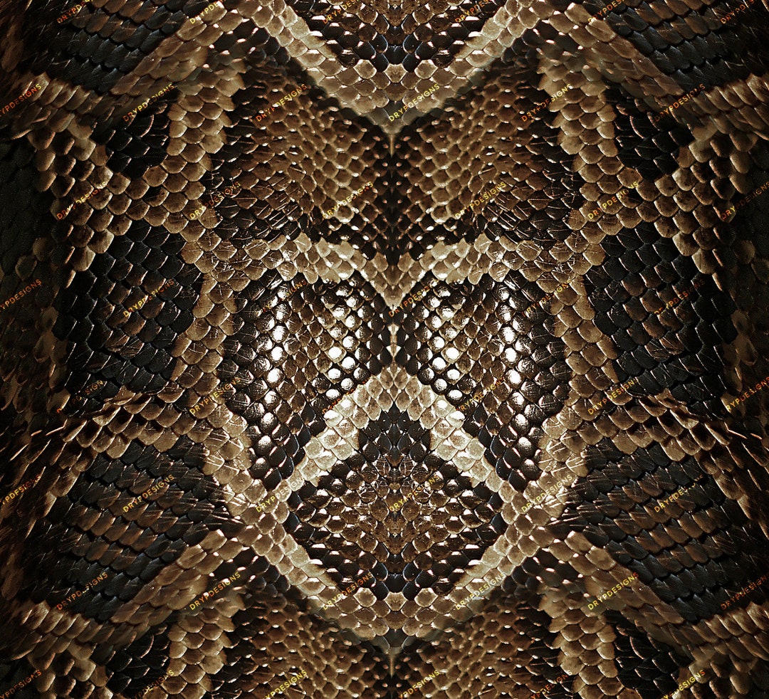 Brown Snakeskin Seamless Digital Paper Background Texture - Python ...