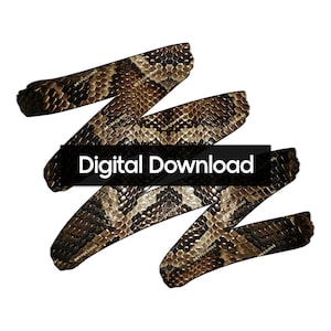 Brown Snakeskin Seamless Digital Paper Background Texture - Python ...