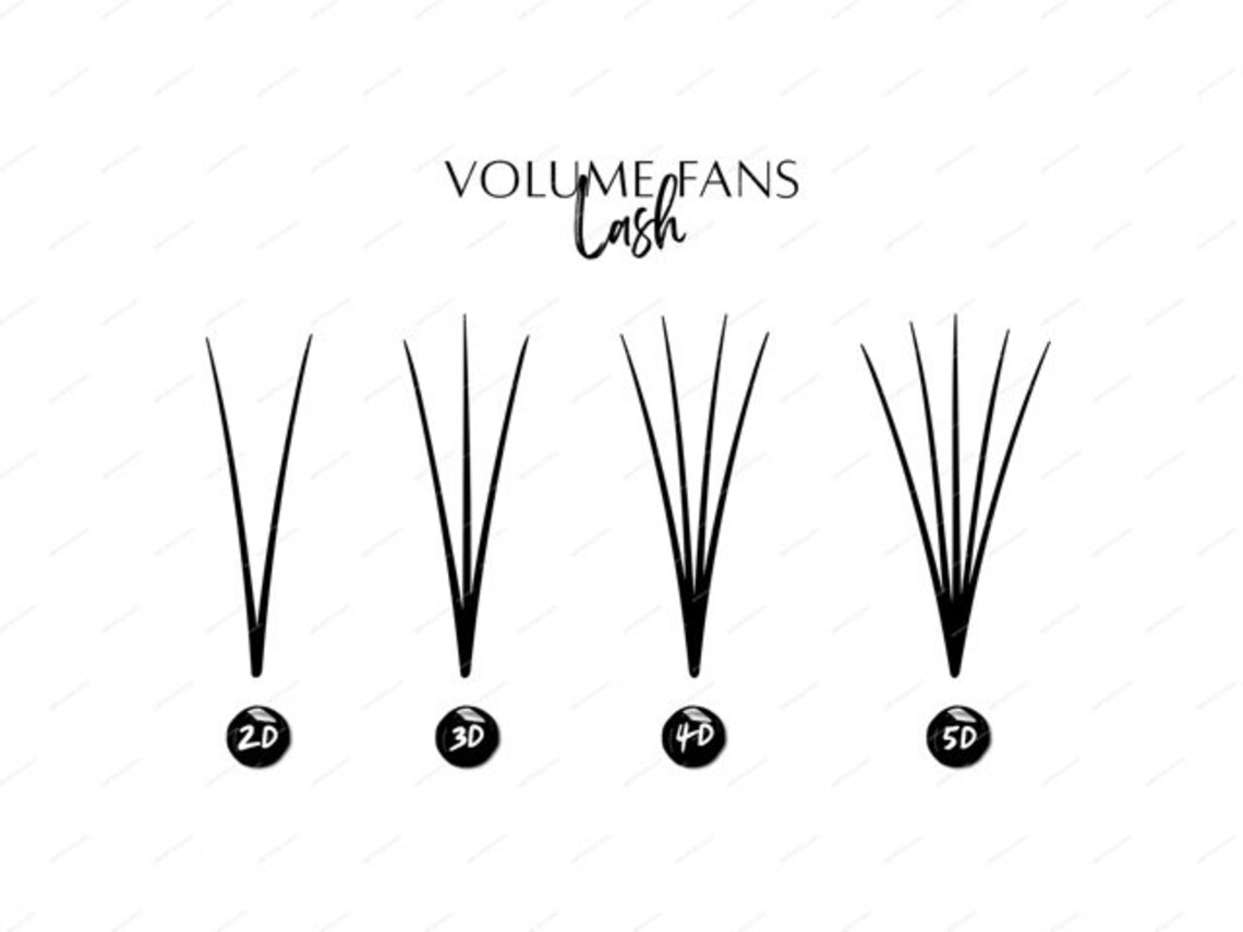Volume Lash Fan Chart Digital Art Print Volume Lash Fan | Etsy