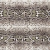 Snake Skin Pattern, Snake Svg, Scales Svg, Reptile Svg, Cricut ...