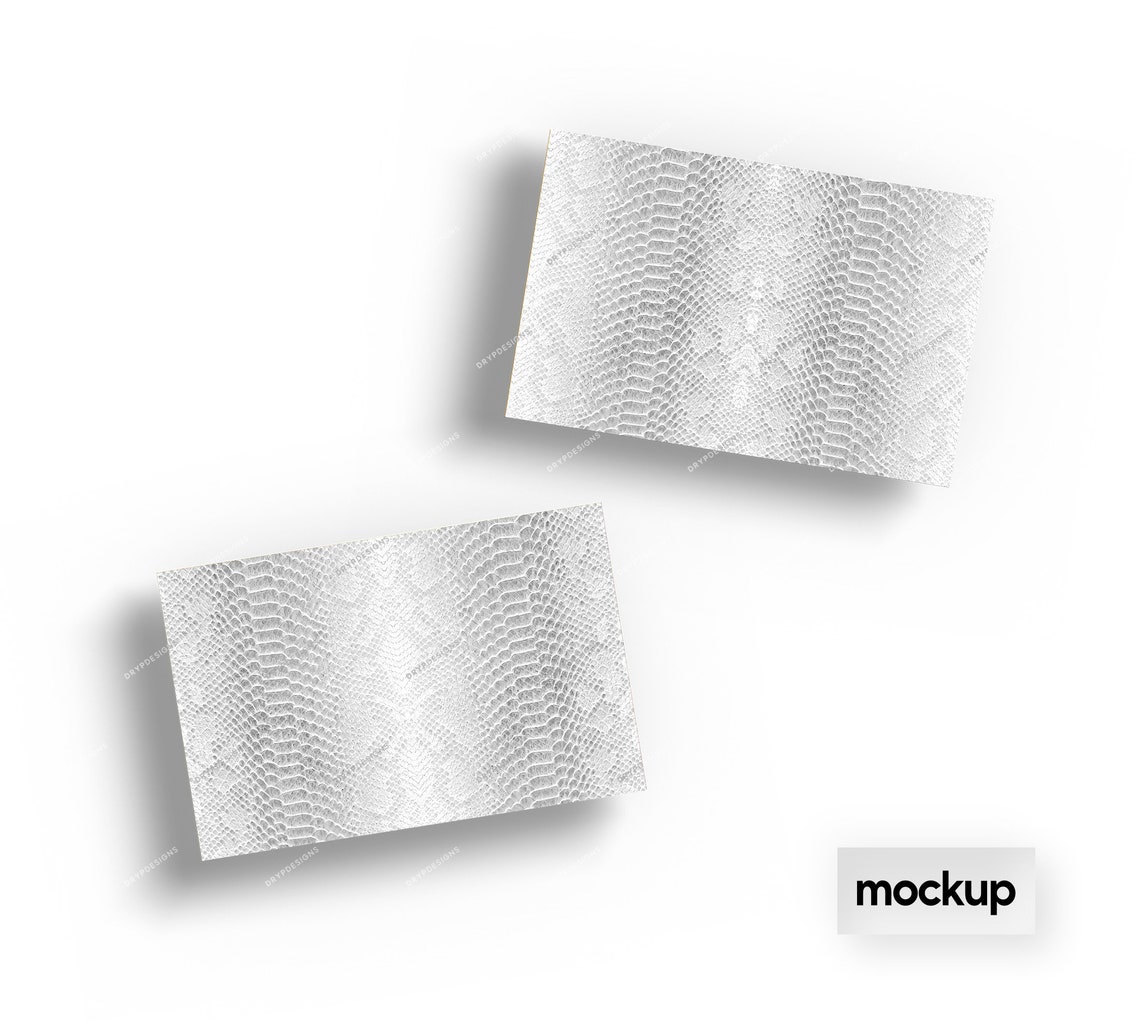 White Snakeskin Seamless Background Texture Snake Print - Etsy