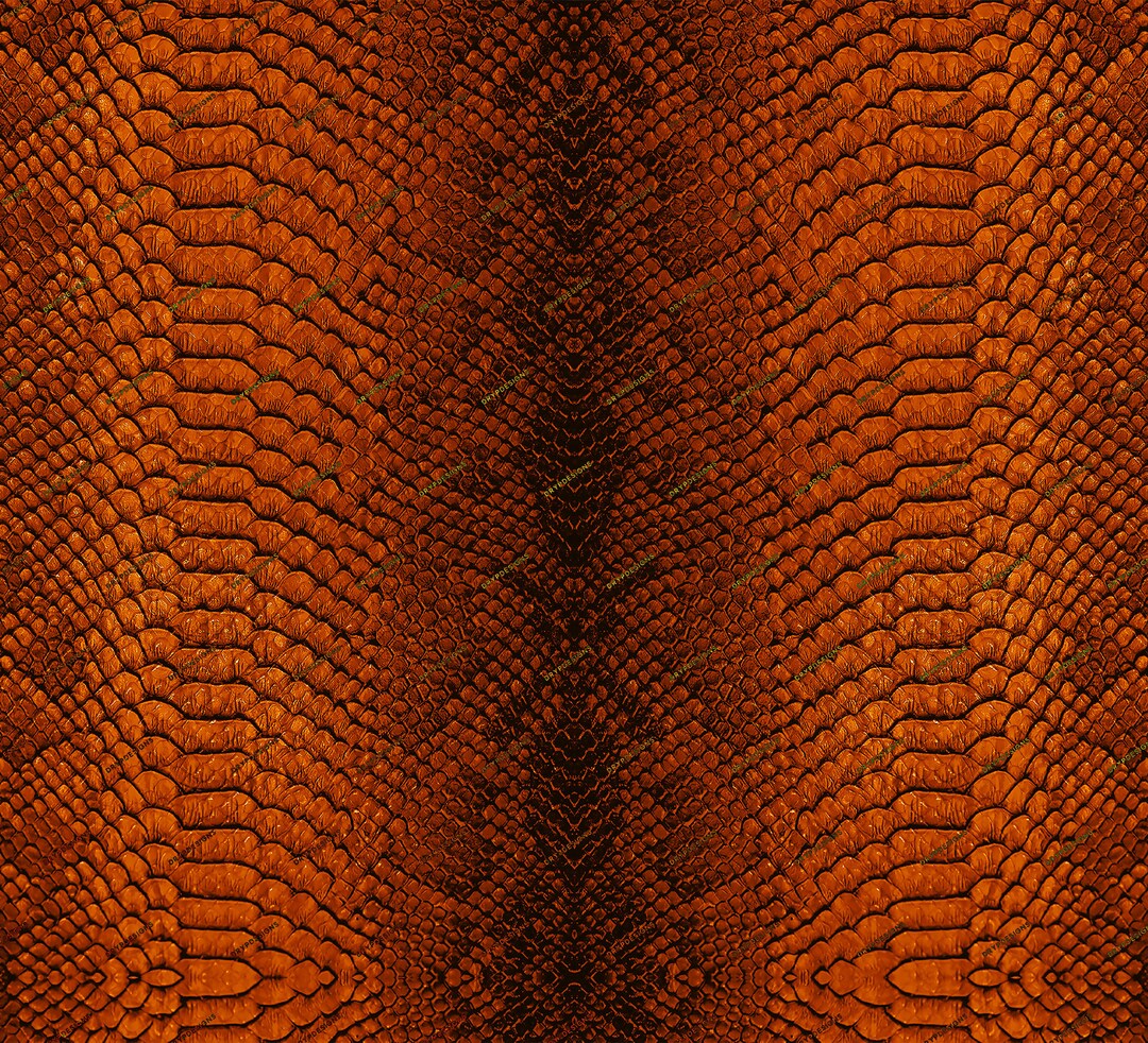 Orange Snakeskin Seamless Digital Paper Background Texture - Python ...