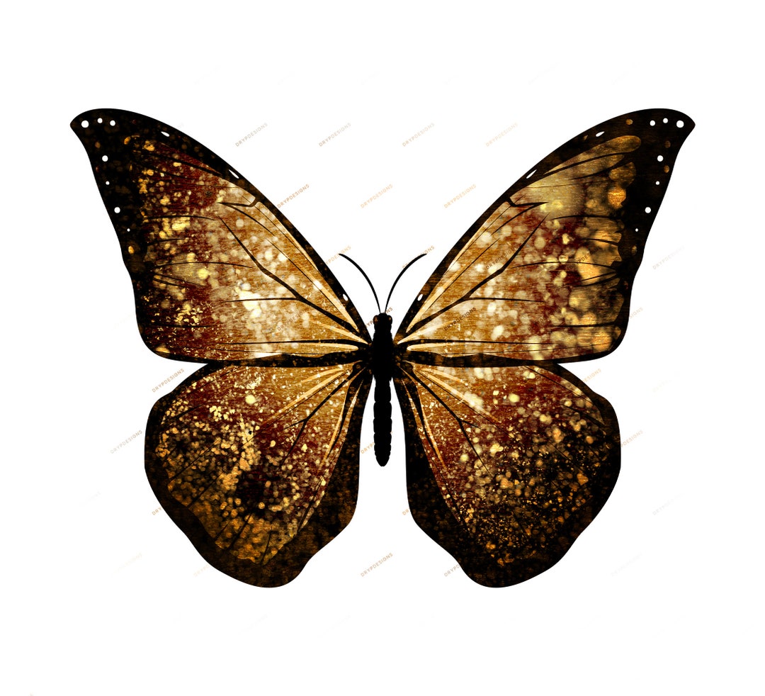 Gold Glitter Butterfly PNG Graphic Bundle - Transparent Butterfly ...