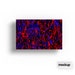 Blue + Red Paint Splatter Seamless Digital Paper Background Texture ...