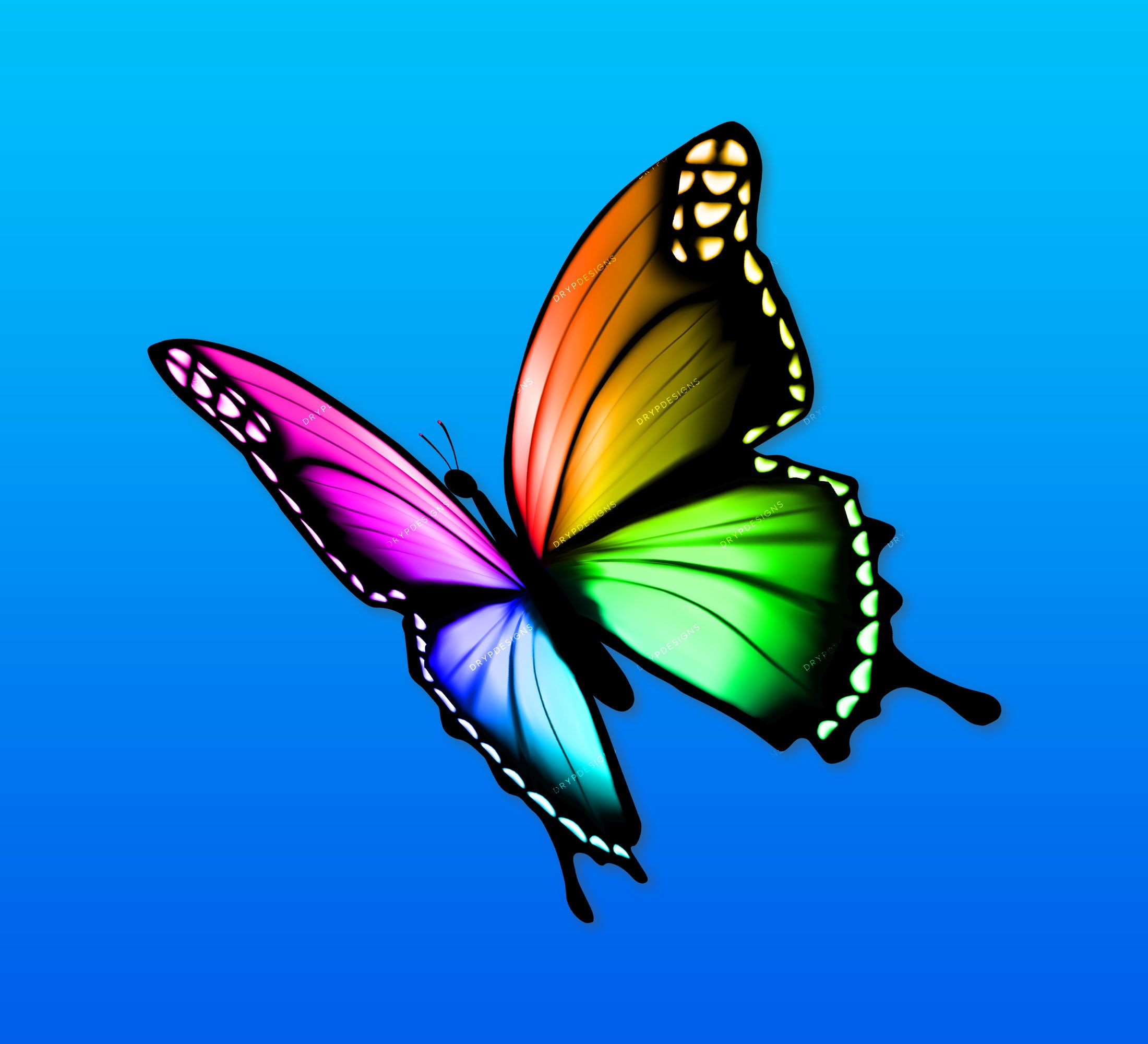Vibrant Rainbow Butterfly PNG - Digital Download File - Transparent PNG ...