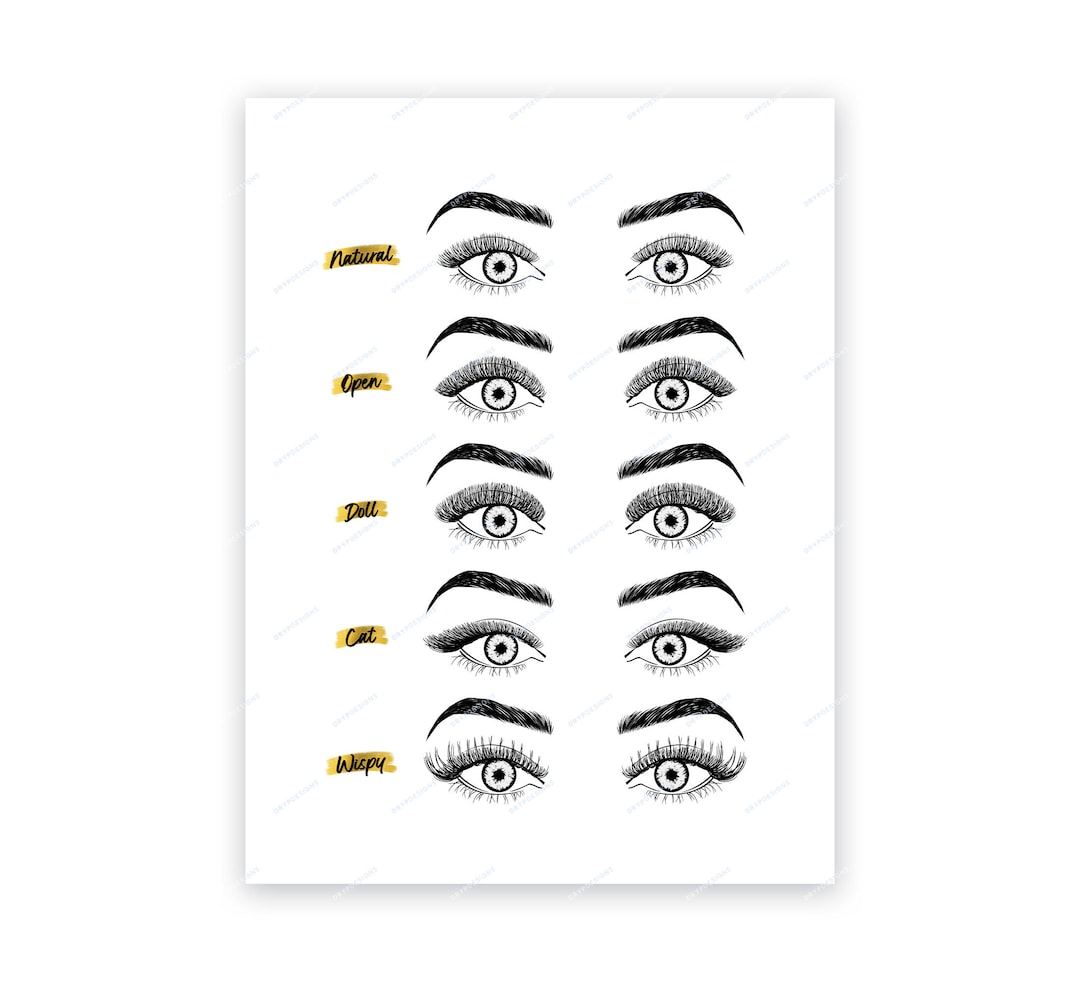 Full Eye Lash Style Chart Eyelash Extension Styles Digital - Etsy