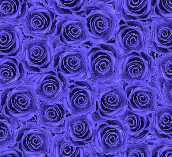 Purple Rose Seamless Background PNG Floral Digital Paper - Etsy