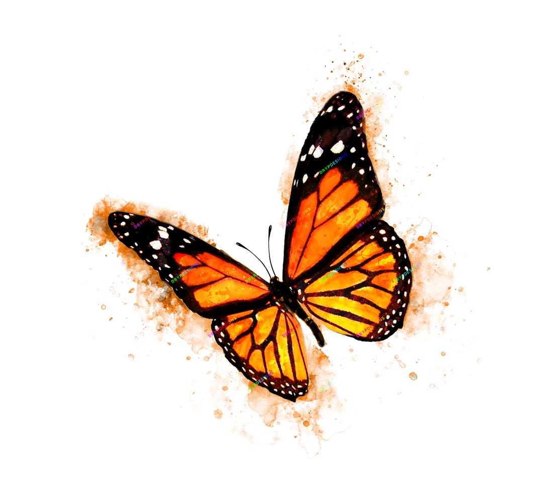 Watercolor Monarch Butterfly PNG Graphic - Digital Download File - Etsy