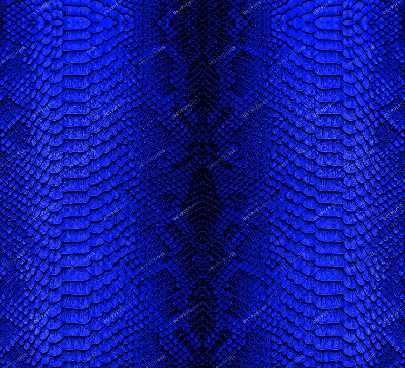 Blue Snakeskin Seamless Digital Paper Background Texture - Etsy