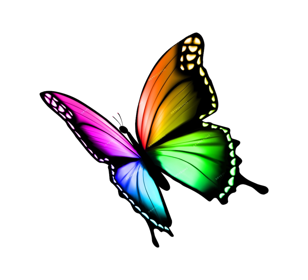 Rainbow Butterfly Clipart
