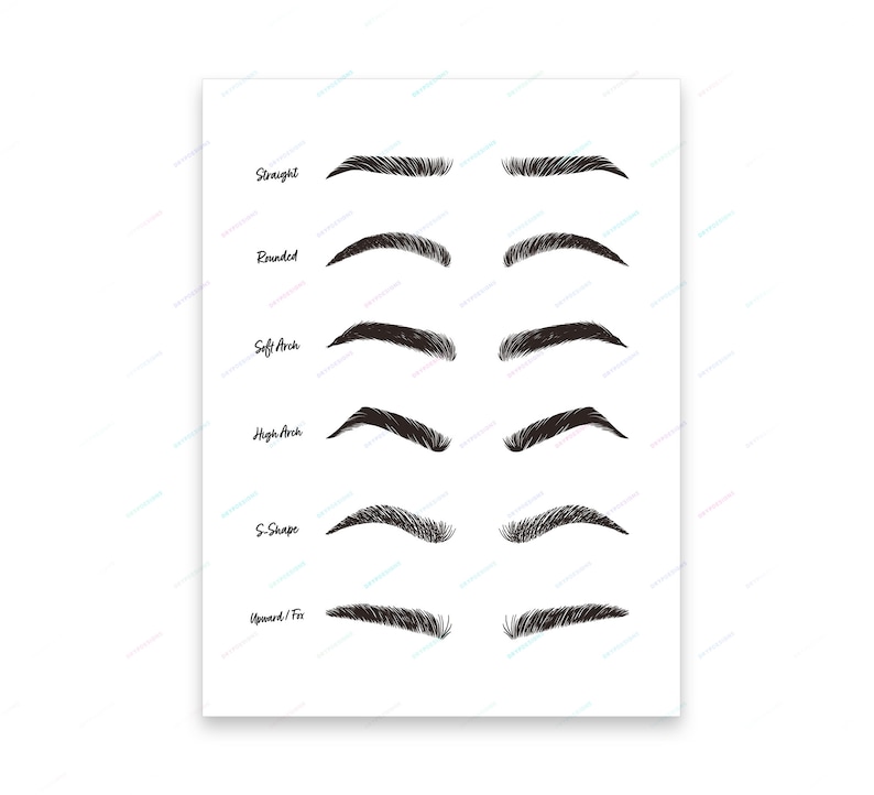 Eyebrow Shape Style Chart Brow Illustration Esthetician - Etsy