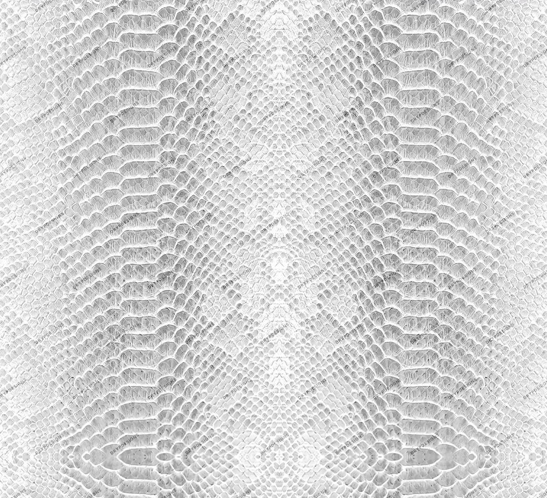 White Snakeskin Seamless Background Texture - Snake Print Python ...