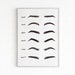Eyebrow Shape Style Chart - Brow Illustration - Esthetician Branding ...