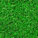 Seamless Green Grass Digital Paper Background Texture - Plants & Nature ...