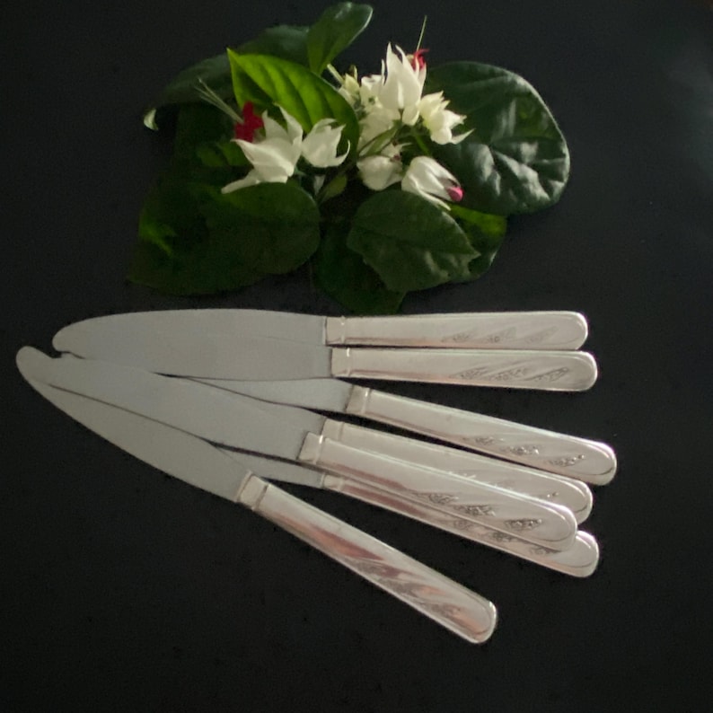 Vintage Carlton Silver Plate Valerie Pattern Flatware Set, 38 Pieces ...