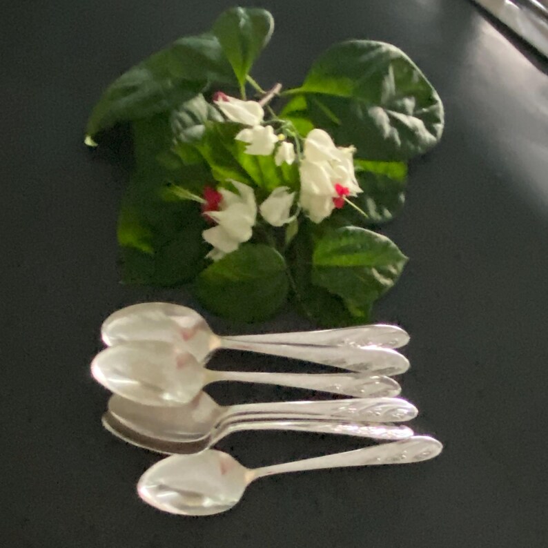 Vintage Carlton Silver Plate Valerie Pattern Flatware Set, 38 Pieces ...