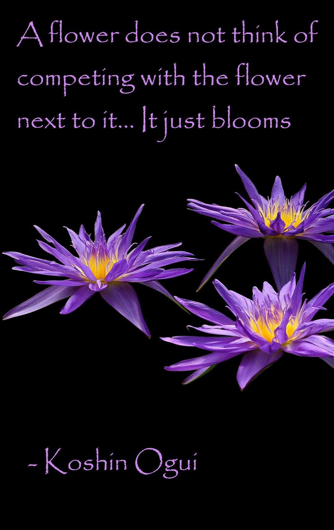 Zen Water-lily, Botanical Art, Zen Quote, Spiritual, Spirituality - Etsy