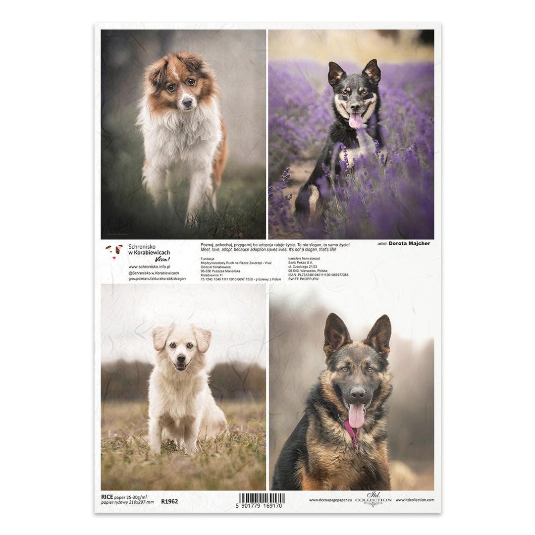 Rescue Puppies and Dogs | ITD Collection | A4 Rice Paper | Decoupage ...