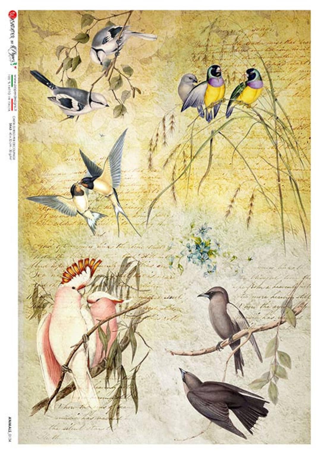 Paper Designs Rice Paper | Birds Rice Paper | A4 Rice Paper | Natural ...