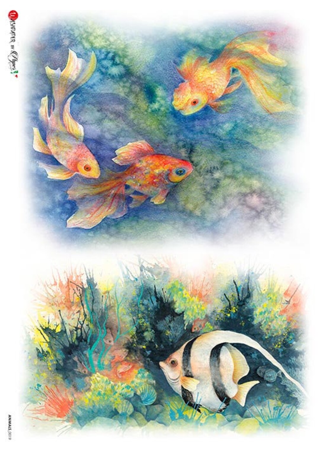 Paper Designs Rice Paper | Fish Paper | A4 Rice Paper | Natural Rice ...