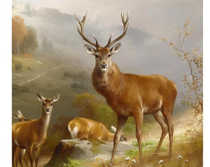 Paper Designs Rice Paper | Deer Rice Paper | A4 Rice Paper | Natural ...