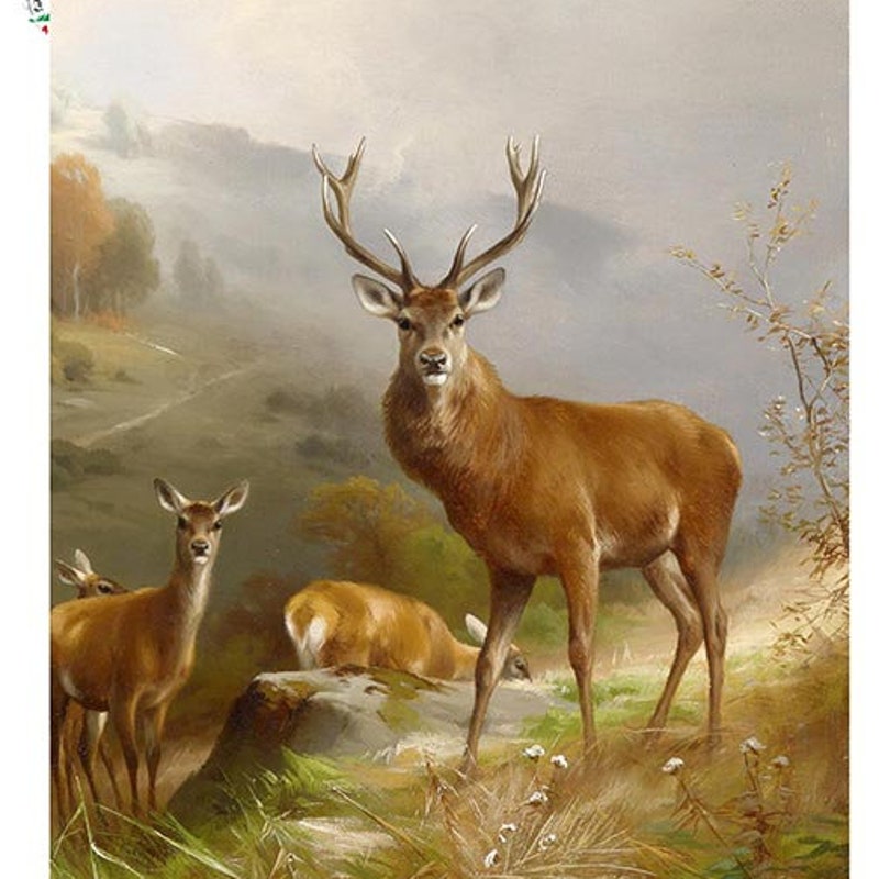 Rice Paper Decoupage - Etsy